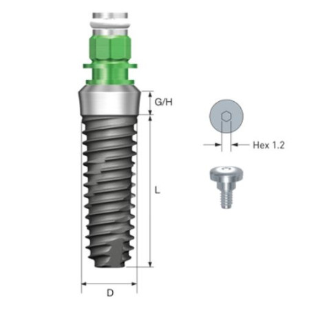 OSSTEM IMPLANT DUMMY MODEL SS